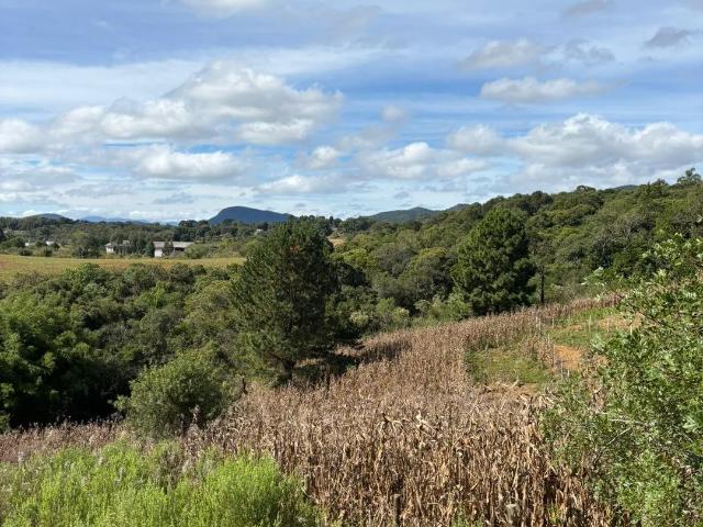 Terreno em Centro, São José dos Pinhais/PR de 8100m² à venda por R$ 169.000,00