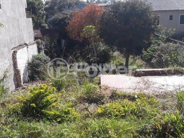 Terreno, em Chácara das Pedras