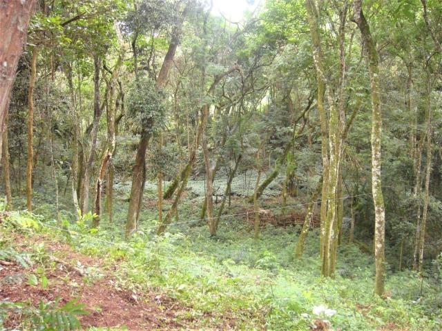 Terreno em Chácara Santa Lúcia, Carapicuíba/SP de 0m² à venda por R$ 414.000,00