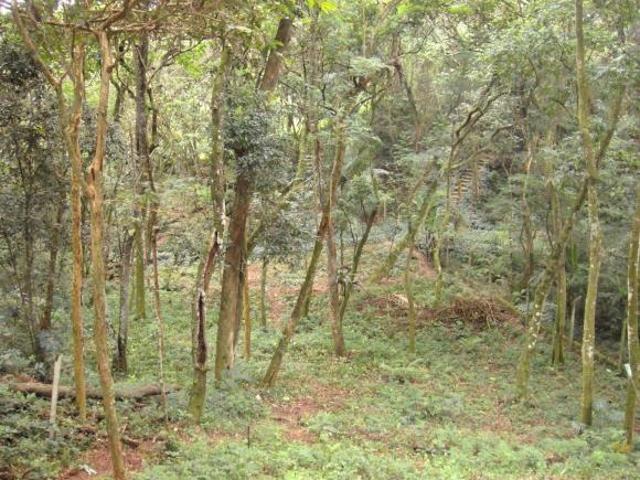 Terreno em Chácara Santa Lúcia, Carapicuíba/SP de 0m² à venda por R$ 415.000,00