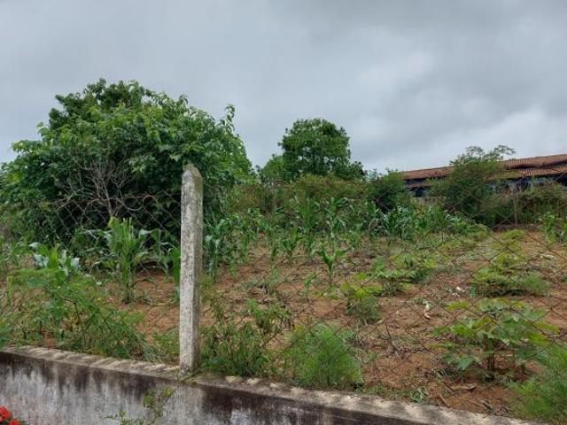 Terreno em Chácara Tropical Caucaia do Alto, Cotia/SP