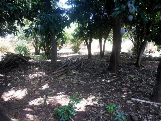 Terreno em Chácaras Versalhes, Araçatuba/SP de 972m² à venda por R$ 700.000,00