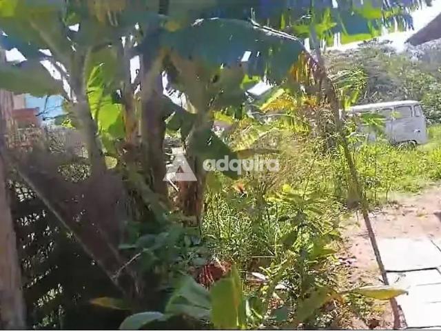 Terreno em Chapada, Ponta Grossa/PR de 1700m² à venda por R$ 299.000,00
