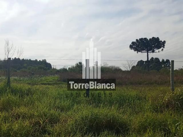 Terreno em Chapada, Ponta Grossa/PR de 360m² à venda por R$ 79.900,00