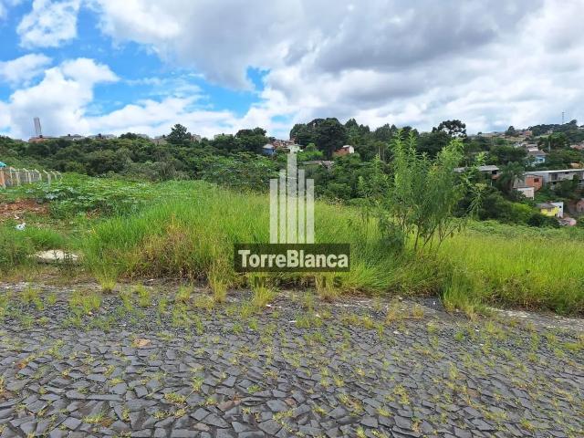 Terreno em Chapada, Ponta Grossa/PR de 348m² à venda por R$ 88.000,00