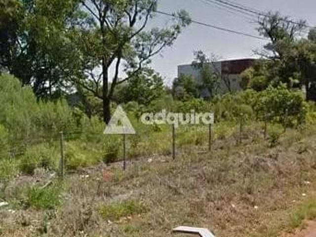 Terreno em Chapada, Ponta Grossa/PR de 6330m² à venda por R$ 3.165.000,00