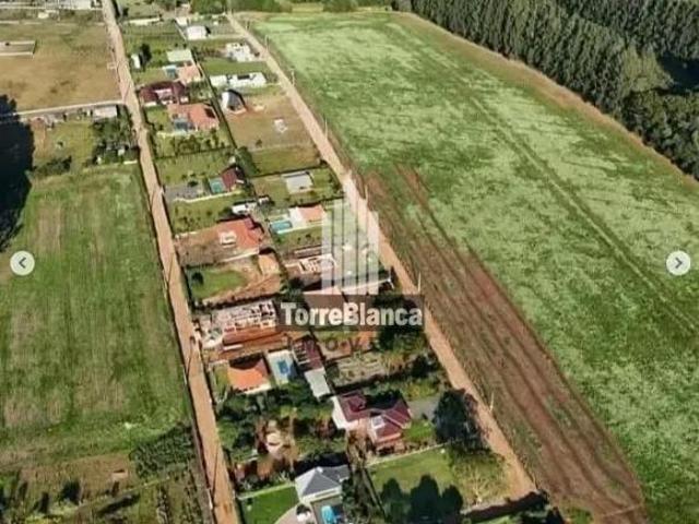 Terreno em Colônia Dona Luíza, Ponta Grossa/PR de 1014m² à venda por R$ 355.000,00