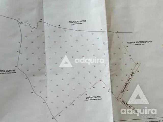 Terreno em Colônia Dona Luíza, Ponta Grossa/PR de 10m² à venda por R$ 4.200.000,00