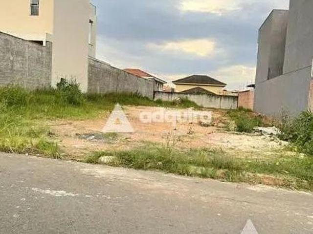 Terreno em Colônia Dona Luíza, Ponta Grossa/PR de 10m² à venda por R$ 500.000,00