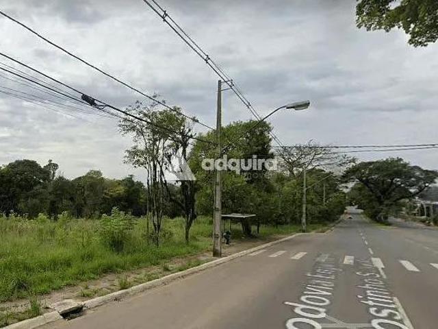 Terreno em Colônia Dona Luíza, Ponta Grossa/PR de 10m² à venda por R$ 5.000.000,00