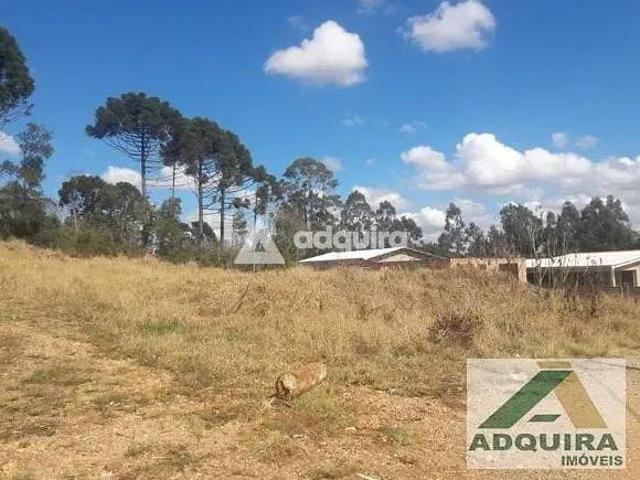 Terreno em Colônia Dona Luíza, Ponta Grossa/PR de 10m² à venda por R$ 96.250,00