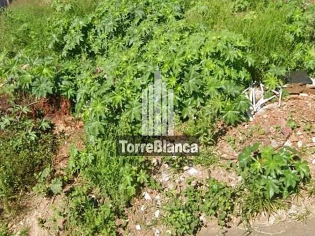 Terreno em Colônia Dona Luíza, Ponta Grossa/PR de 10m² à venda por R$ 180.000,00