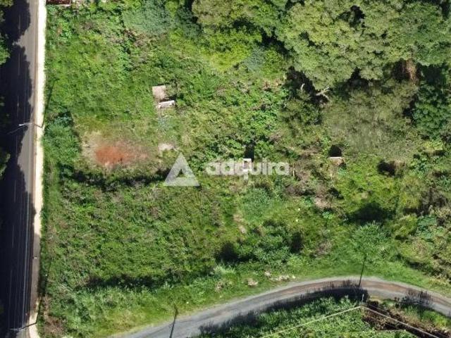 Terreno em Colônia Dona Luíza, Ponta Grossa/PR de 4324m² à venda por R$ 1.000.000,00