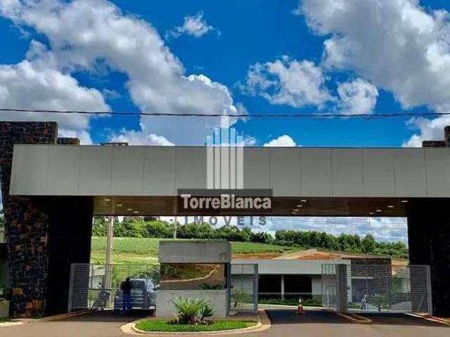 Terreno em Colônia Dona Luíza, Ponta Grossa/PR de 10m² à venda por R$ 315.000,00