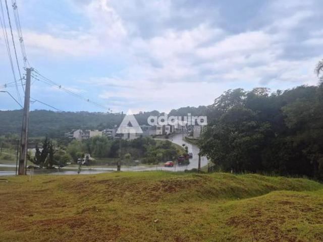 Terreno em Colônia Dona Luíza, Ponta Grossa/PR de 10m² à venda por R$ 333.000,00