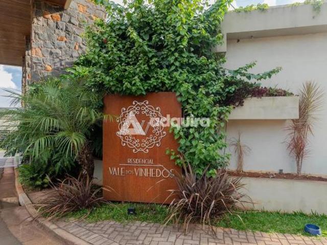 Terreno em Colônia Dona Luíza, Ponta Grossa/PR de 10m² à venda por R$ 380.000,00