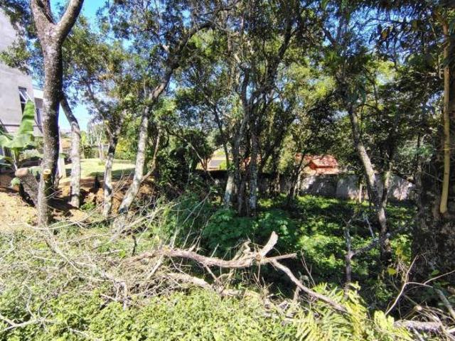 Terreno em Colina Caucaia do Alto, Cotia/SP de 0m² à venda por R$ 230.000,00