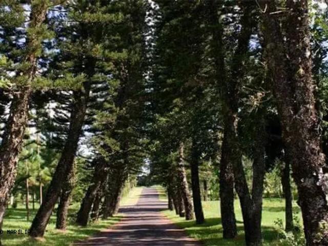 Terreno em Condomínio para Venda em Marília, Condomínio Vale do Canaã