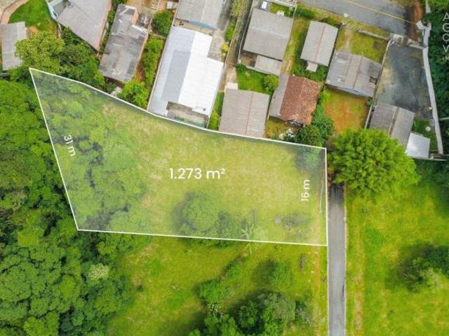 Terreno em Condomínio, Vila Conceição, Campo Largo