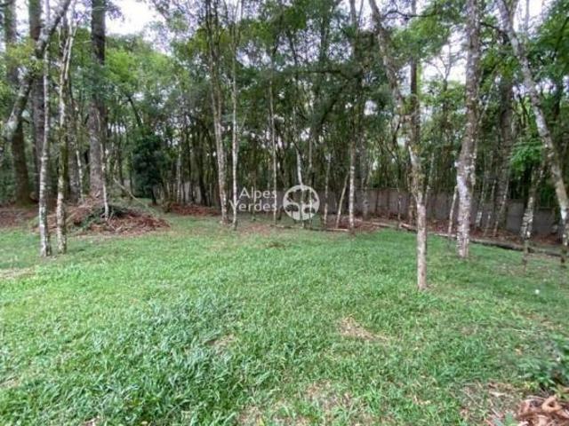 Terreno em Condomínio, 407,54m², à venda em Canela, Villa Mariana