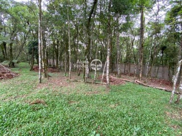 Terreno em Condomínio, 431,81m², à venda em Canela, Villa Magi