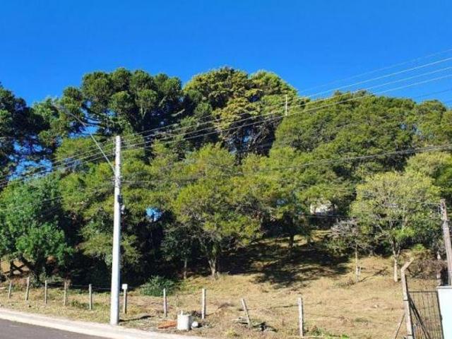 Terreno à venda, 1546 m² por R$ 1.250.000 Centro Canela/RS