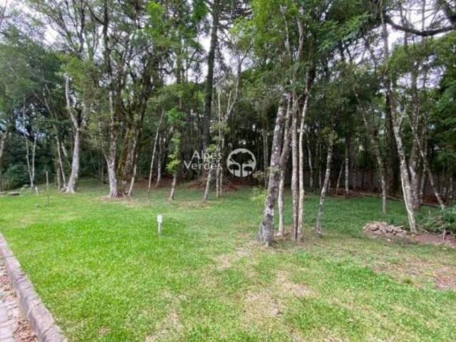 Terreno em Condomínio, 511,5m², à venda em Canela, Villa Mariana