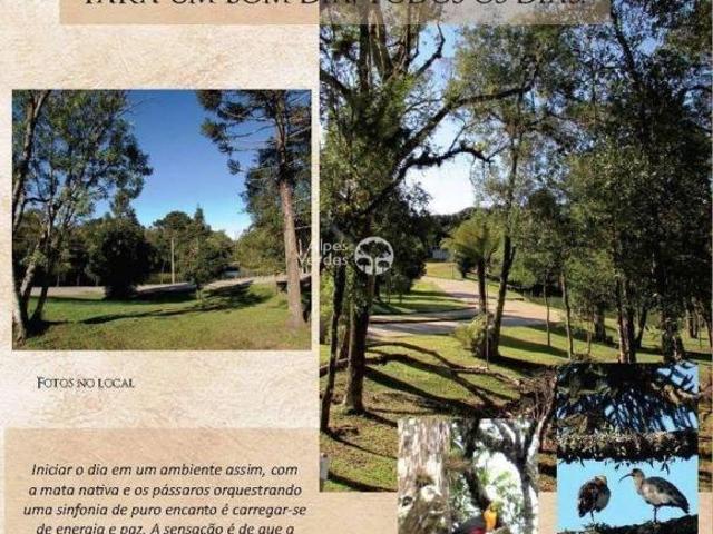 Terreno em Condomínio, 718,3m², à venda em Canela, centro