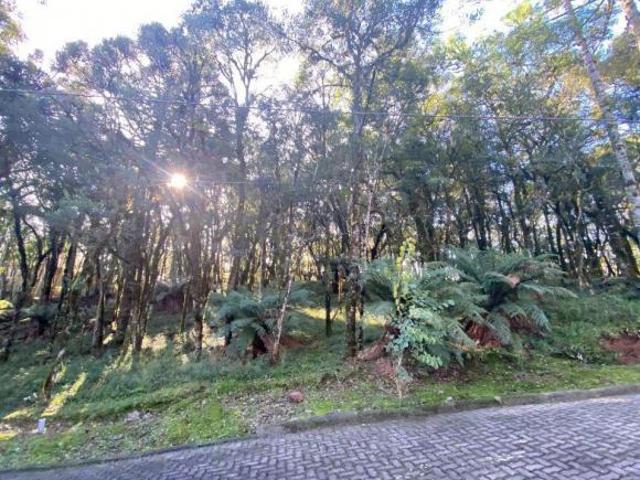 TERRENO EM CONDOMÍNIO CANELA/RS