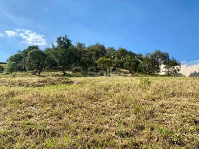 Terreno em condomínio à venda, Condomínio Campo de Toscana Vinhedo/SP