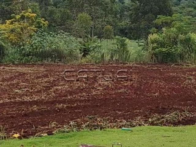 Terreno em condomínio à venda Recanto Fazenda da Nata, Londrina