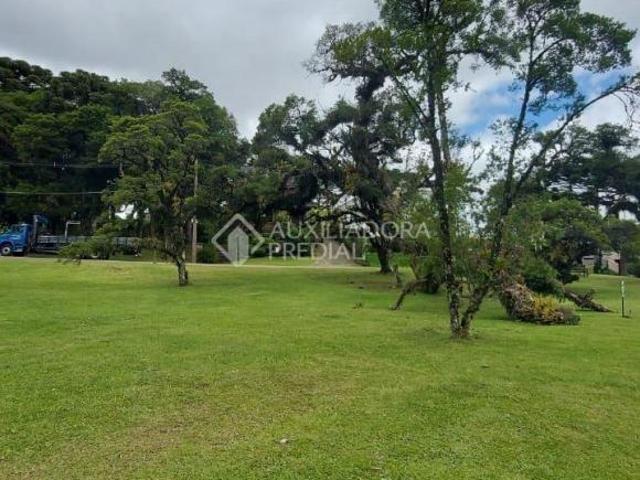 Terreno em Condomínio Altos Pinheiros Canela