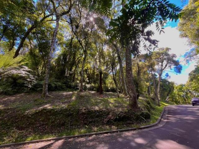 Terreno em Condomínio Bairro Mato Queimado