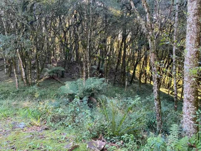Terreno em Condominio Bairro Bosque Sinoserra