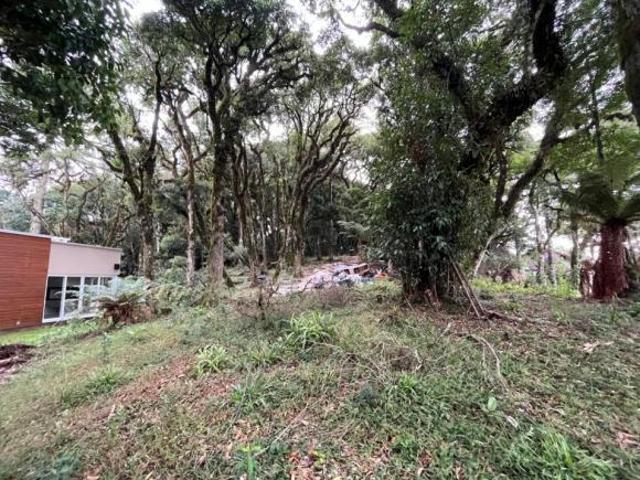 Terreno em Condomínio Bairro Centro