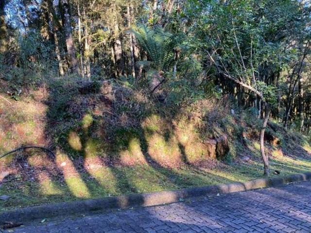Terreno em Condominio Bairro Villa Suzana