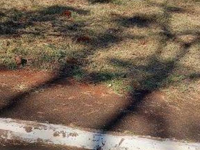 TERRENO EM CONDOMÍNIO BARRA FOREST ZONA NORTE DE LONDRINA