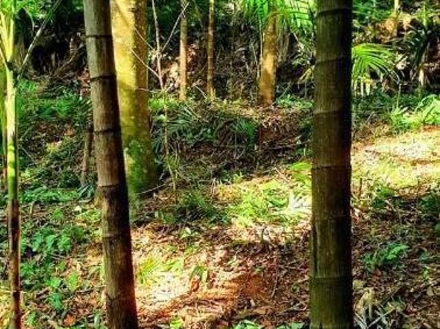 Terreno em Condomínio de Luxo com 1.500m² em Taboão da Serra SP, no Condomínio Iolanda