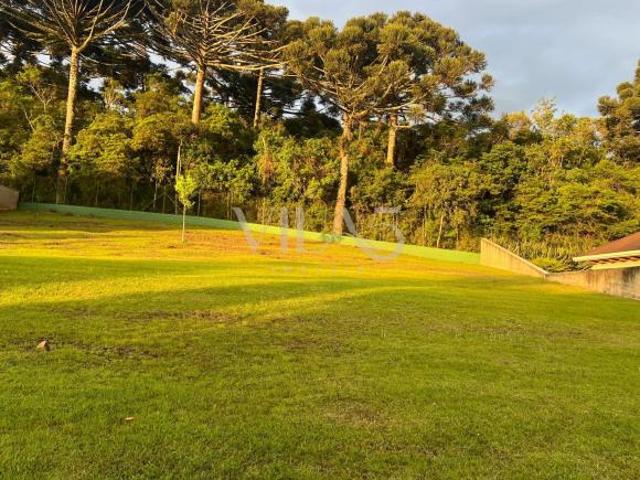 Terreno em Condomínio em Alphaville Graciosa Pinhais, PR