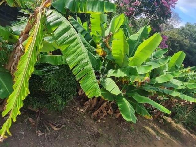 Terreno em Condomínio em Ibiúna SP, Bairro Puris 900m² de Área!