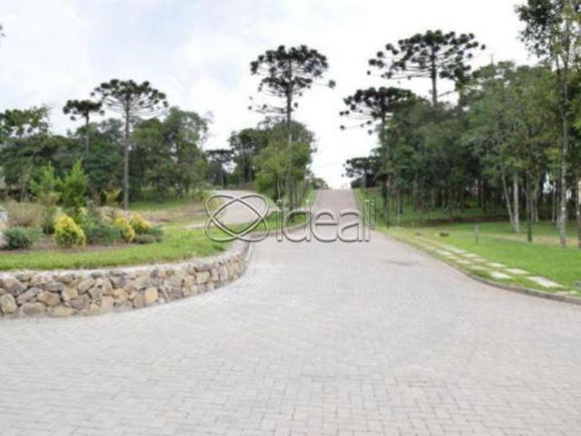 TERRENO EM CONDOMINIO EM SÃO CIRO CAXIAS DO SUL
