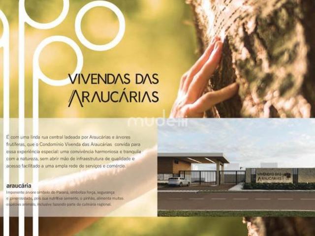 Terreno em Condomínio em São José dos Pinhais