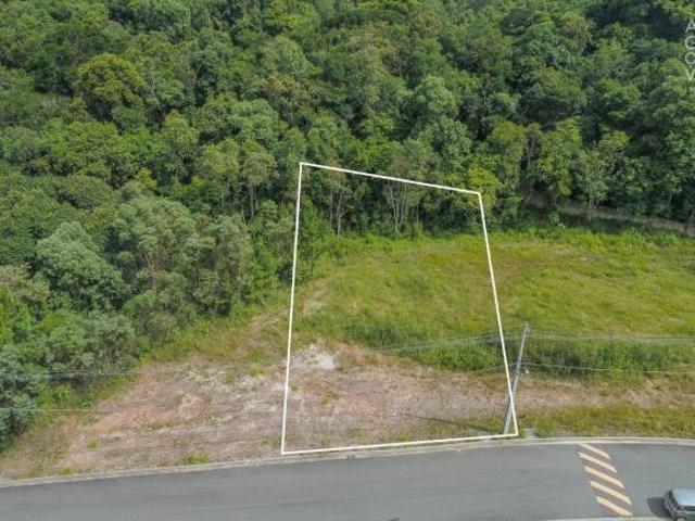 Terreno em Condomínio Fechado, Vista para Área de Preservação, Santa Felicidade, Curitiba PR
