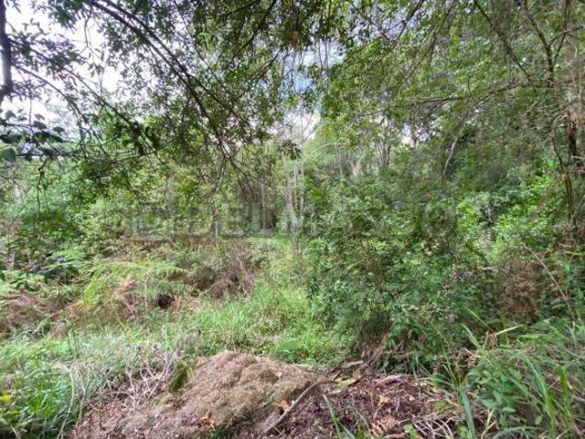 Terreno em condomínio fechado com 2.525 m²!