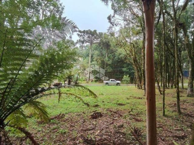 Terreno em condomínio fechado, com 611,59m2 na cidade de Canela