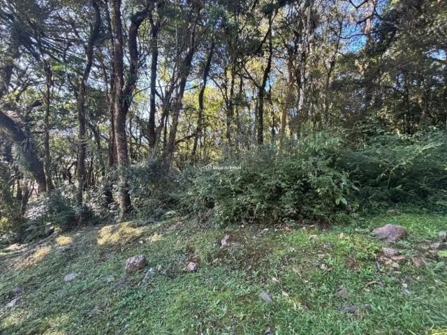 Terreno em condominio fechado, em canela
