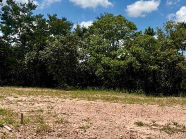 Terreno em Condomínio Fechado no Caxambu | 1.000m² | Alto Padrão e Natureza | Lotes Exclusivos