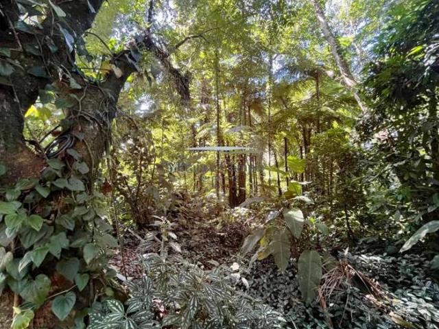Terreno em condomínio fechado no Sertão do Cacau de Camburi