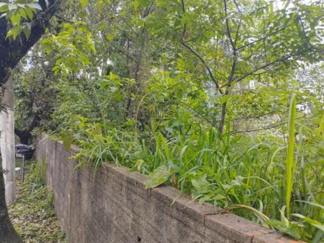Terreno em Condomínio Jardim Vitoria Regia 305m²