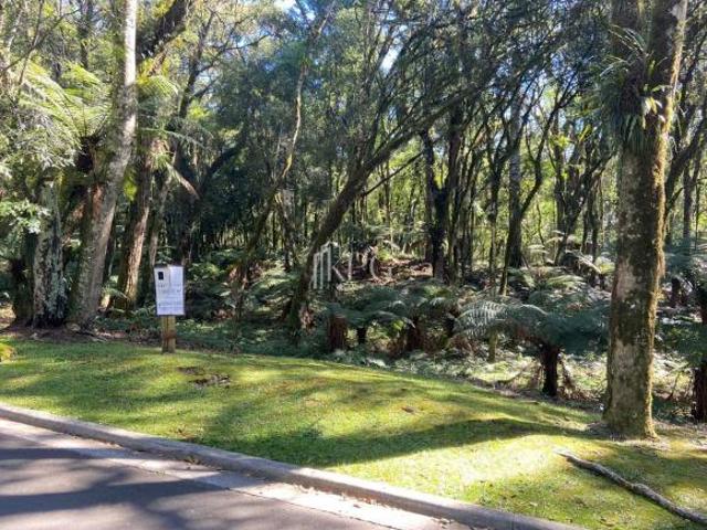 TERRENO EM CONDOMÍNIO O BOSQUE